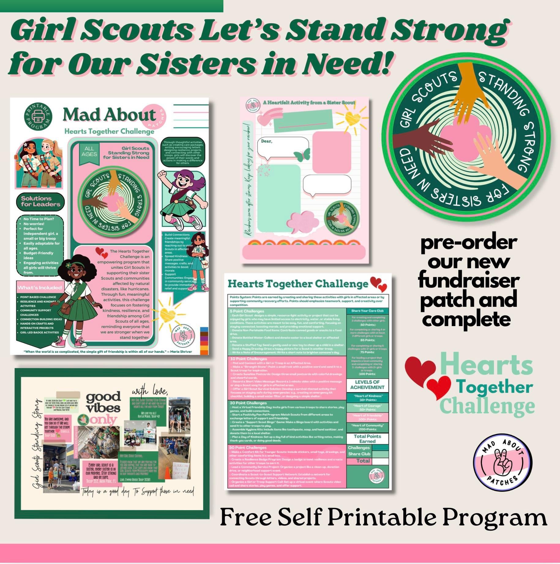 Girl Scout Promise Cards World's Okayest Girl Scout Gift Idea" Poster